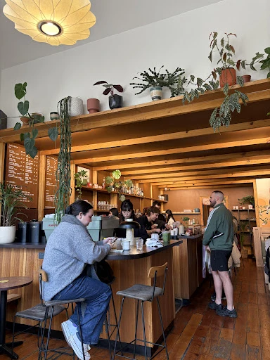 Good Measure - Reviews, Phone, Hour