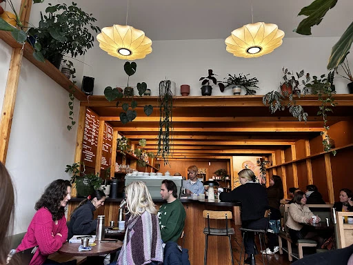 Good Measure - Reviews, Phone, Hour